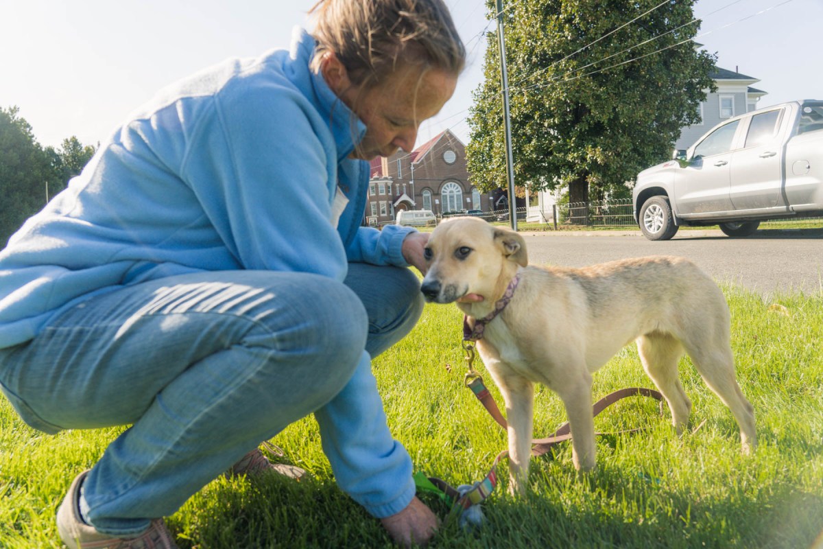 Bippity Bop Boom: Getting Our Latest Foster on Her Feet – Another Good Dog™